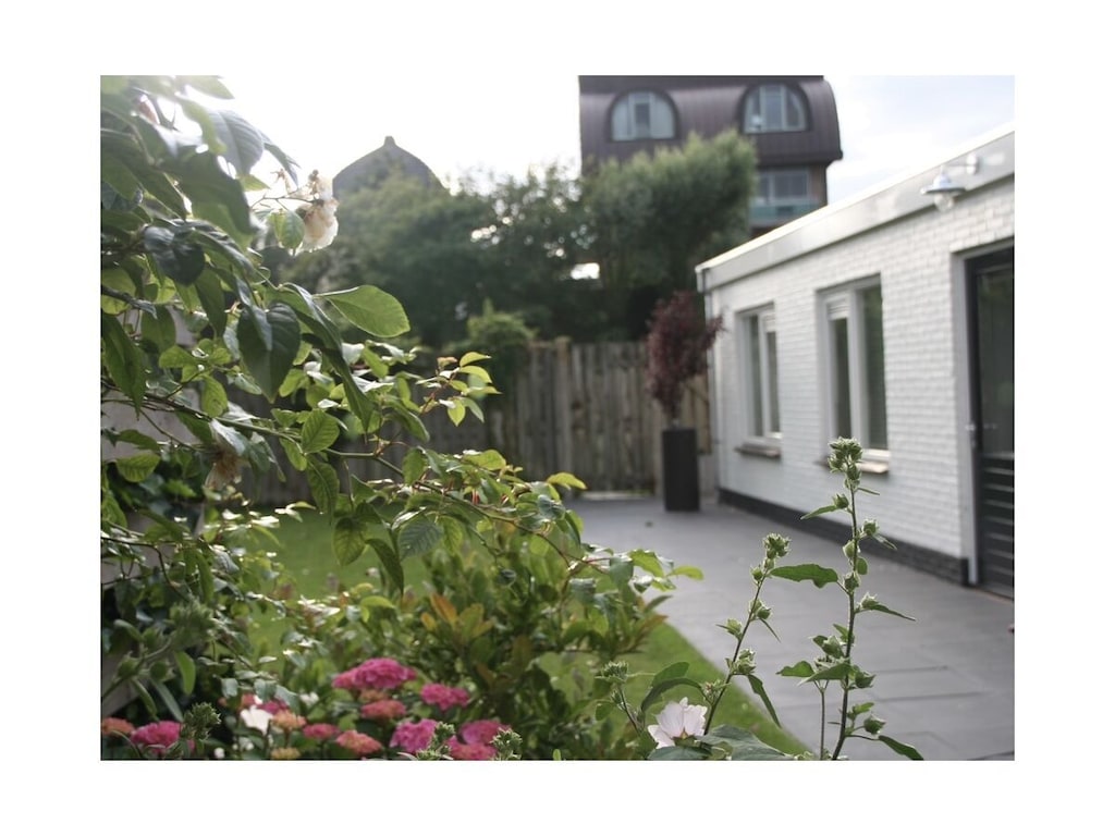 437550 - Texel