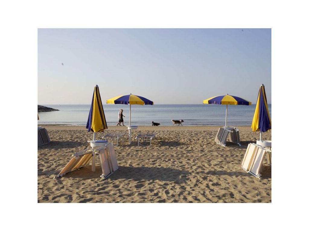 536364 - Lido di Venezia