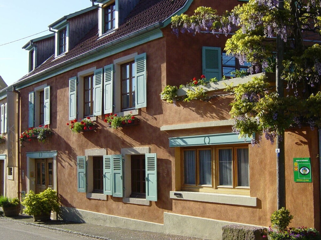 479485 - Turckheim