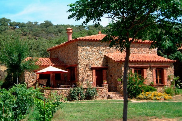 The Stork - Alájar