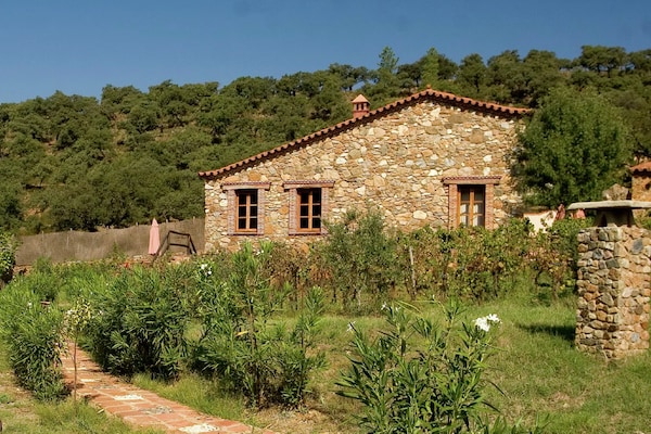 The Eagle - Alájar