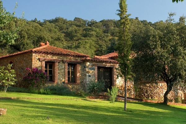 The Turtle - Andalusia
