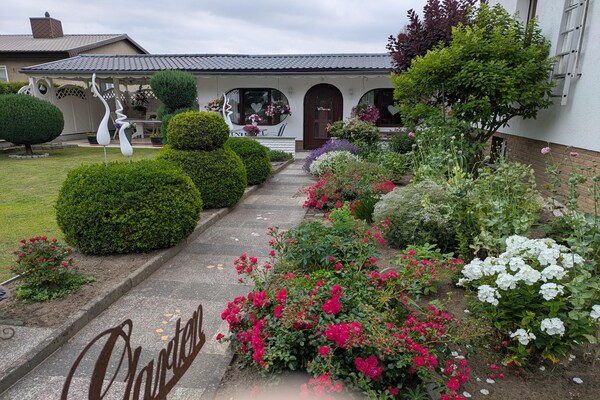 Sommerrose - Neubukow