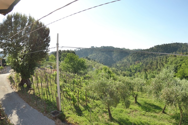 Tra Lucca E Il Mare - Toskana