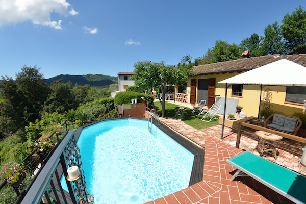 Mengozzi - Camaiore