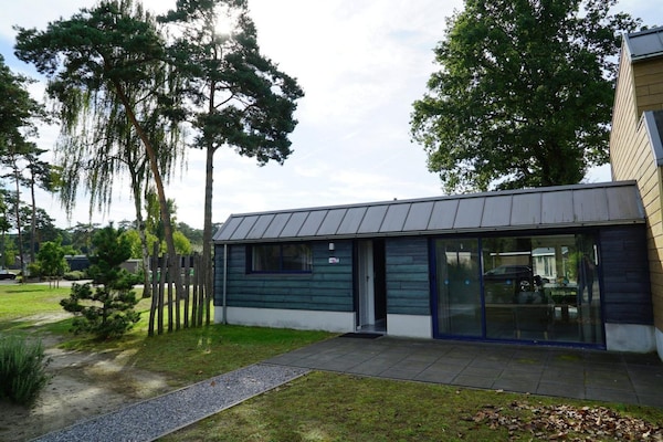 Kempen 4 - Mol