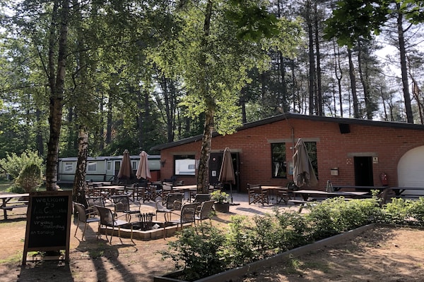 Roodborstje - Beerse