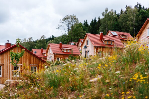 Exclusivlodge - 6 Pers - Wernigerode