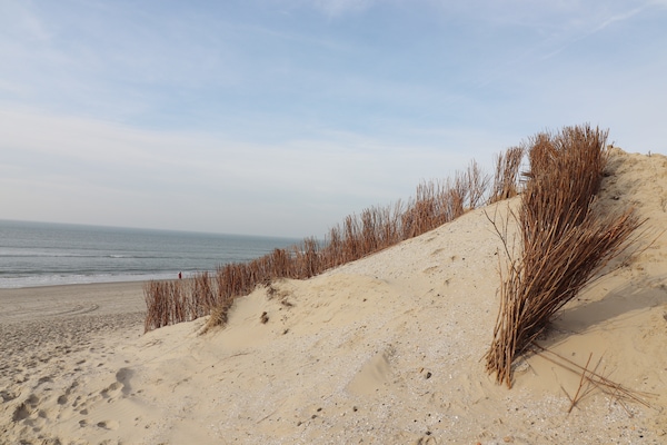 Duinchalet C024 - Ameland