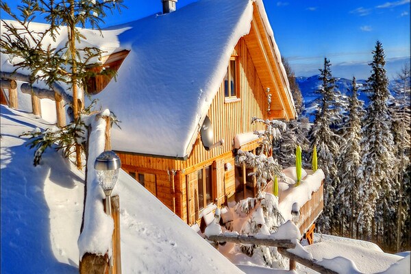 Chalet Die Berghex'n - Carinthia