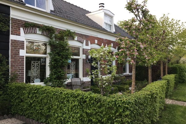 41054 - Zoutelande