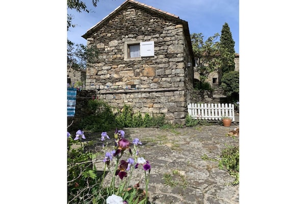 380985 - Parc national des Cévennes