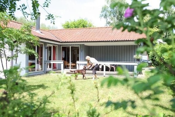 Reiher 24 - Mirow