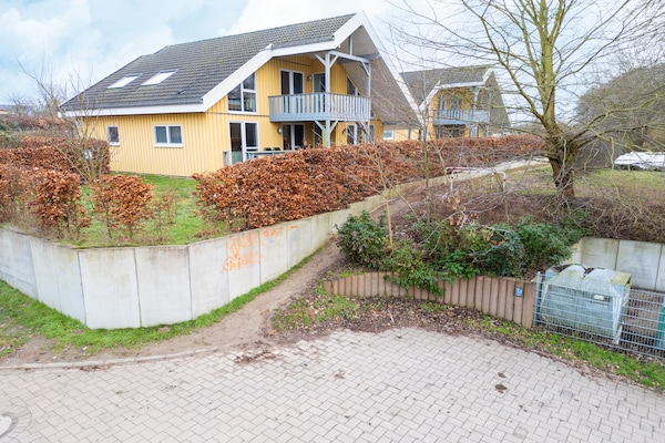 Schwan 315 - Mecklenburgische Seenplatte