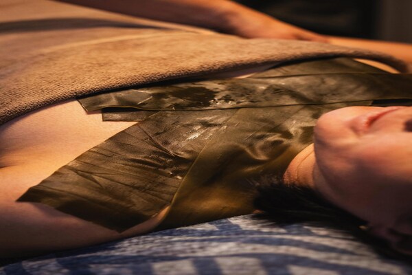 Schoneveld 114 Zeemeeuw Breskens - Breskens