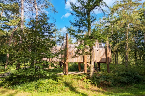 The Treeloft By Yournature - Province du Hainaut