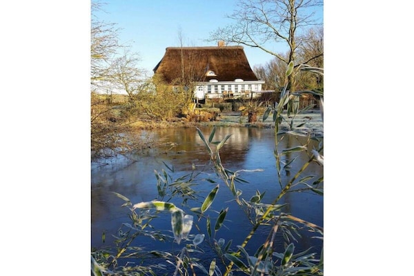 66769 - Witzwort