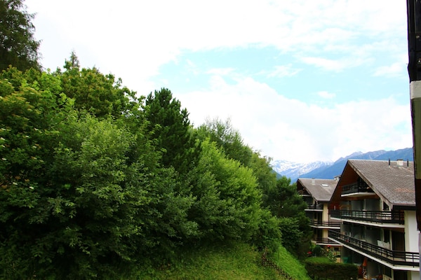 Diablerets D 048 - Mountain Apartment 4 Pers - Switzerland