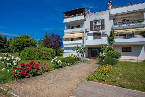 Apartment Tereza Porec - Poreč