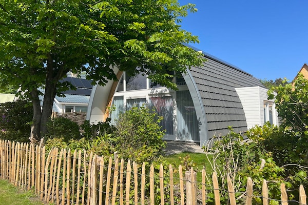 Lazy Daisy - Callantsoog