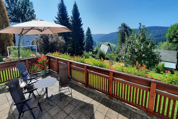 Ferienwohnung Irene - Breitenbrunn/Erzgebirge