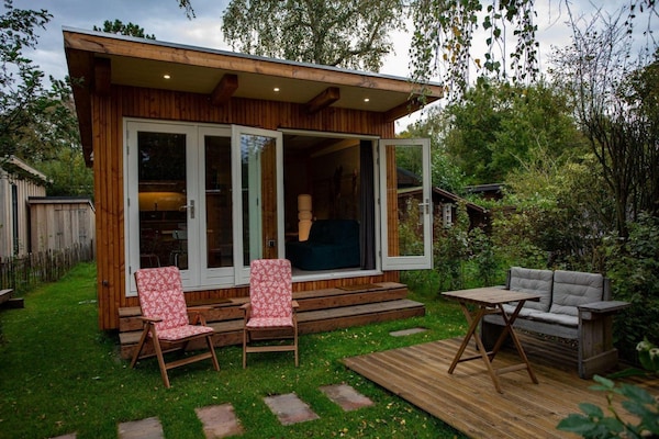 Campanula 171 - Petten