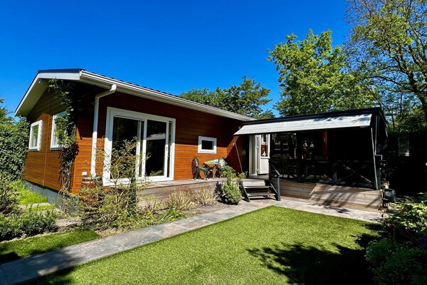 Campanula 132 - Nordholland