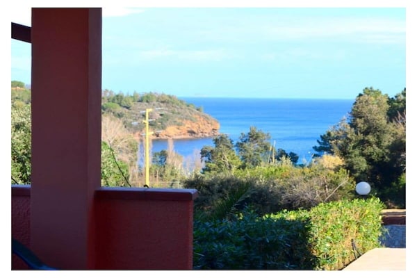 385601 - Île d'Elbe