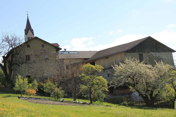 138585 - Renon