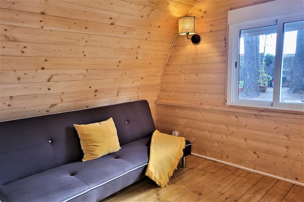 Nomad Harmonia - España