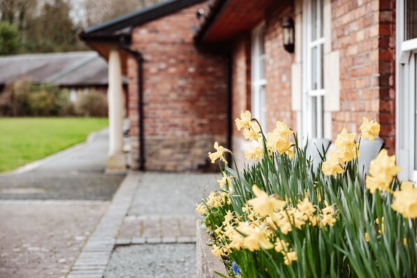 Netley Hall - Camelia - Shropshire