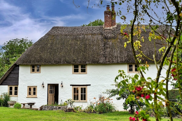 The Thatch At Winterborne Houghton - Dorset