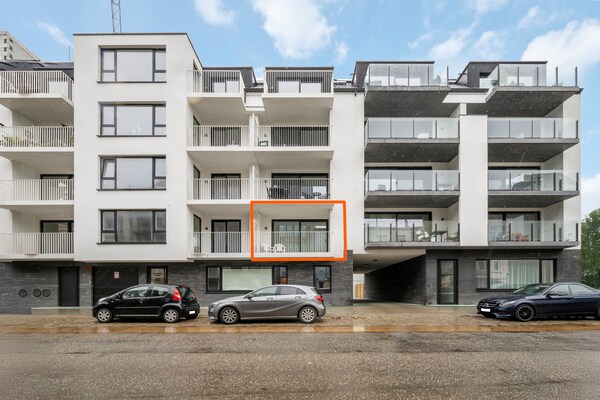 Swan 01.03 - Blankenberge