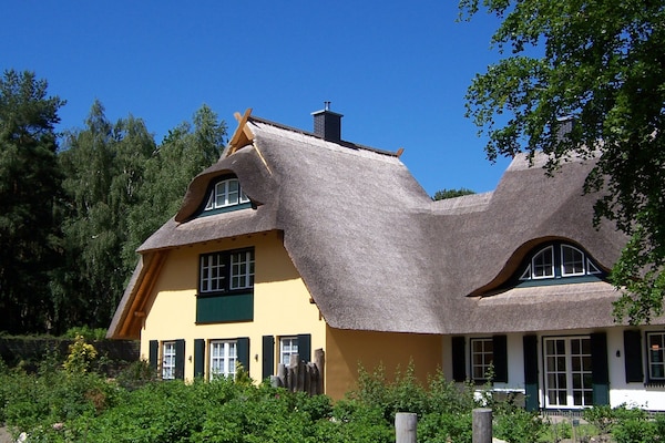 Ferienhaus Küstenwald Klein - Strandhotel Fischland - Dierhagen