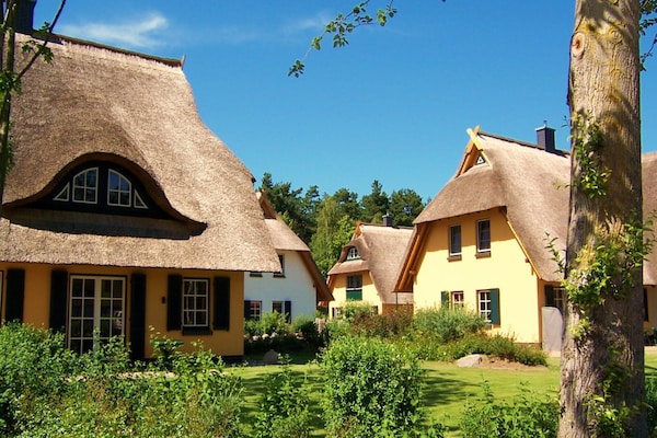 Ferienhaus Küstenwald Klein - Strandhotel Fischland - Dierhagen