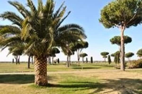 Résidence Les Caraibes - Saint-Laurent-d'Aigouze