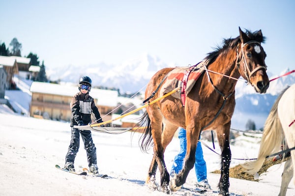 Vvf Les Ecrins Champsaur *** - Saint-Bonnet-en-Champsaur