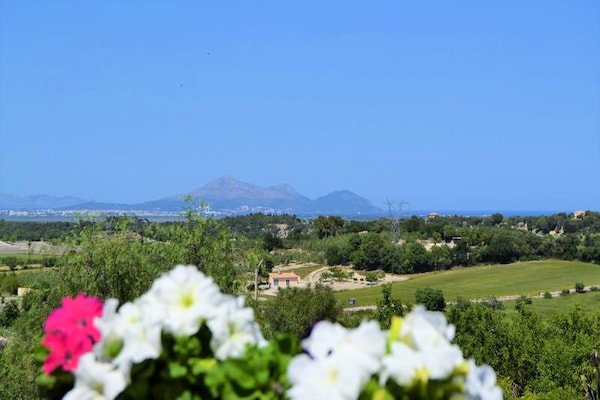 Maison à Muro - Muro