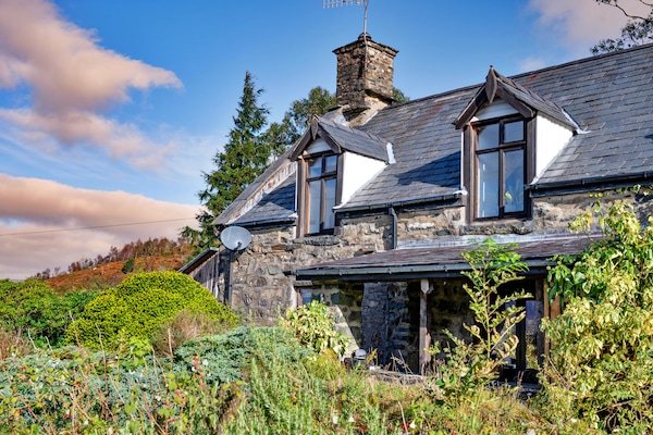 Waen Fechan - Angleterre