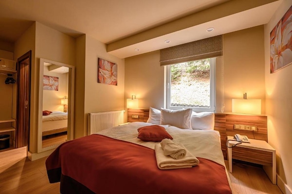 Schwarzbachtal - Double Room Forest And Mountain View With Balcony - Markneukirchen