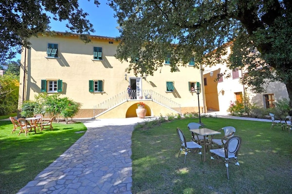 Rosa Azzurra - Toscana