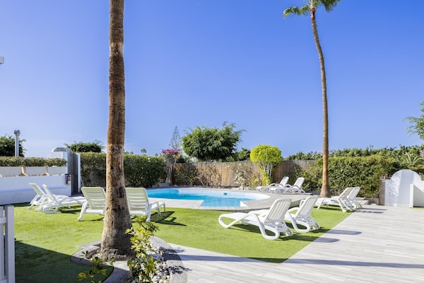 Nectarinas - Gran Canaria