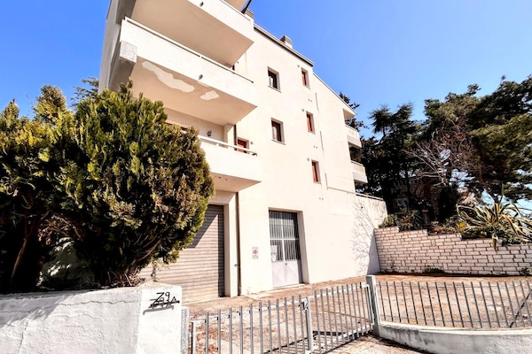 Trilo Marco - Numana