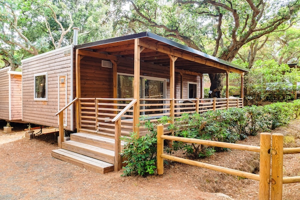 Stella Del Mare Family Collection / Lodge Deluxe Max Occ 4 Pax - Provincia di Grosseto