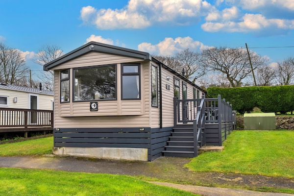 Pine Forest Lodge - Cornwall
