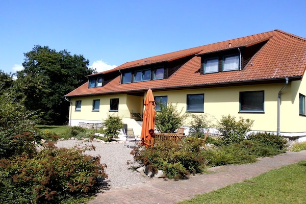 219063 - Klink