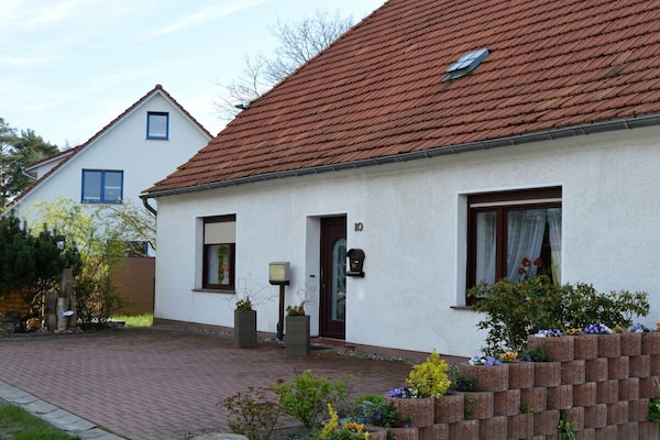 408484 - Dierhagen