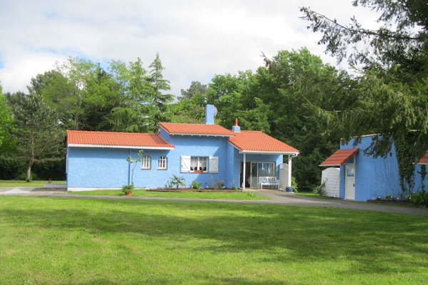 42934 - Lesparre-Médoc