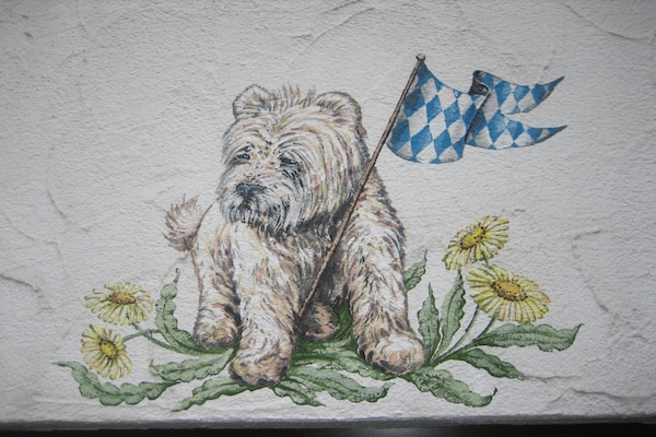 15162 - Bad Bayersoien