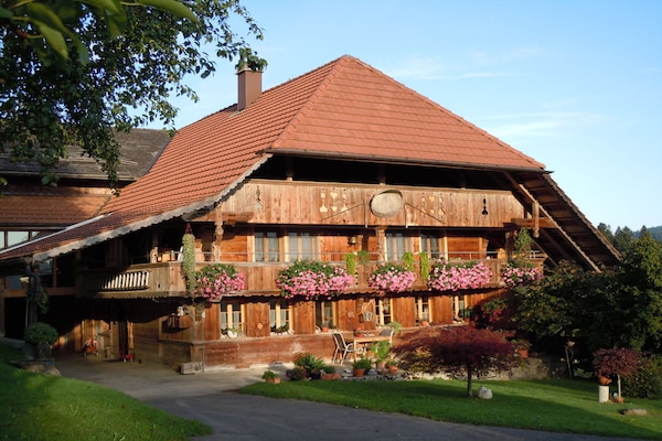 13384 - Suisse